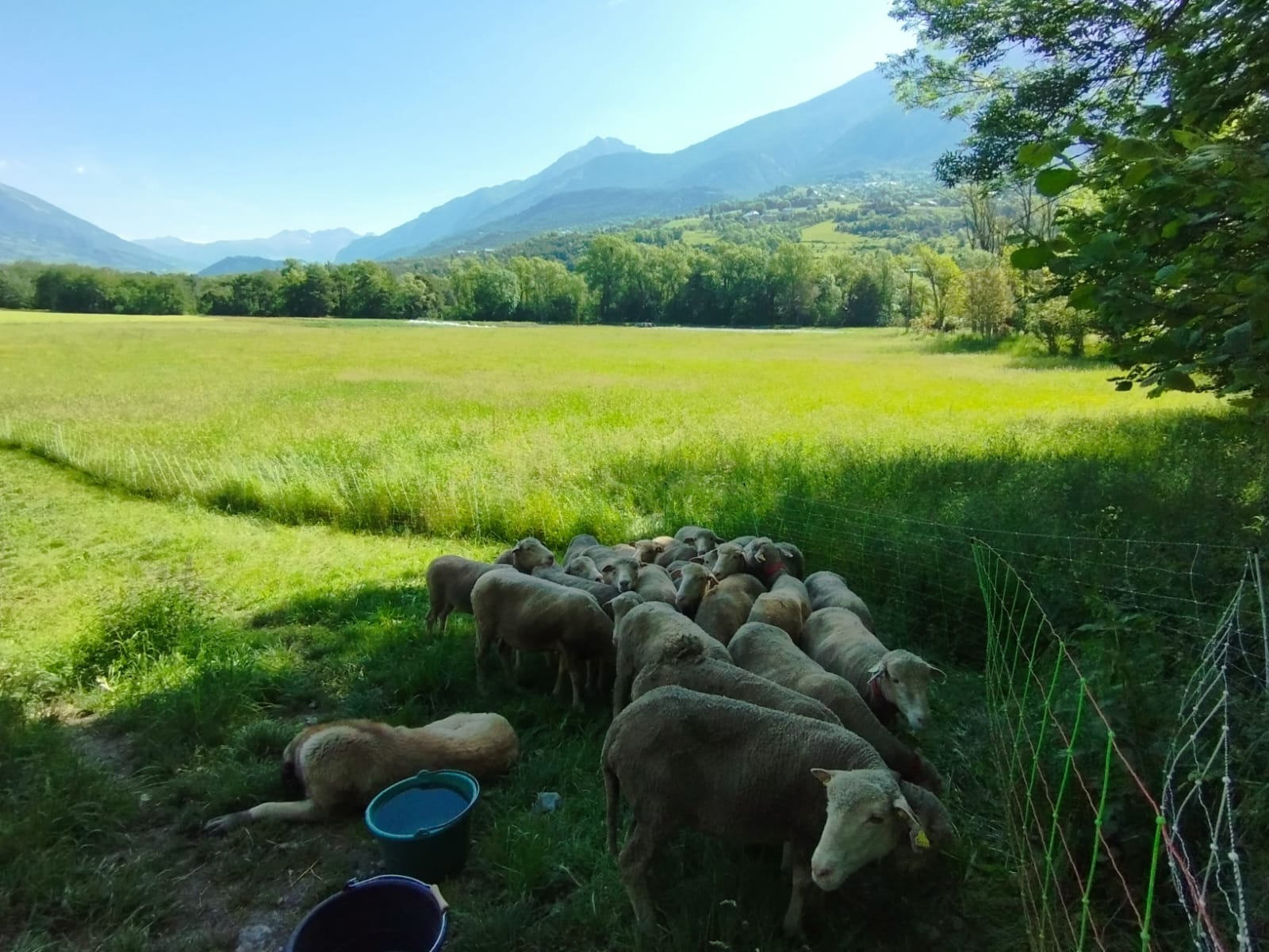 Compte-rendu du CNEA (Comité National de l'Enseignement Agricole) du 16 octobre 2025 ...