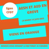 greve aesh aed - SGEN-CFDT Sgen-CFDT Réunion