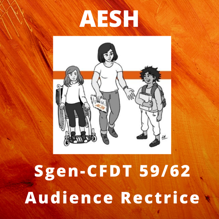 AESH : compte rendu de l'audience "rectrice" - SGEN-CFDT Nord-Pas-de-Calais