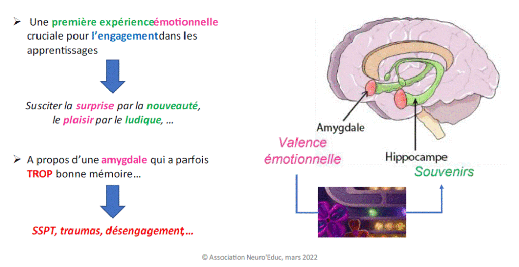 emotion et cerveau - SGEN-CFDT Éducation Formation Recherche Publiques ...